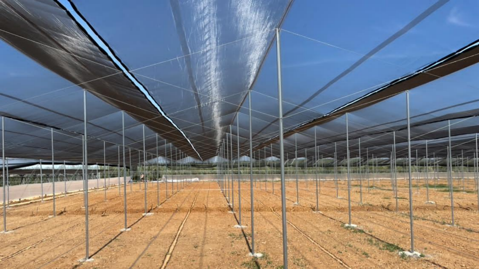 Net House for Africa | Insect Proof Net House Manufacturer